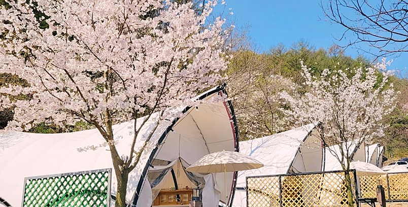 네이버 예약 라포레스타 제천 글램핑
